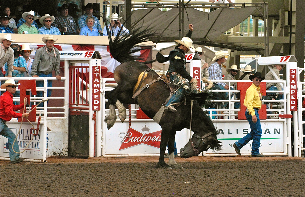 Calgary Stampede