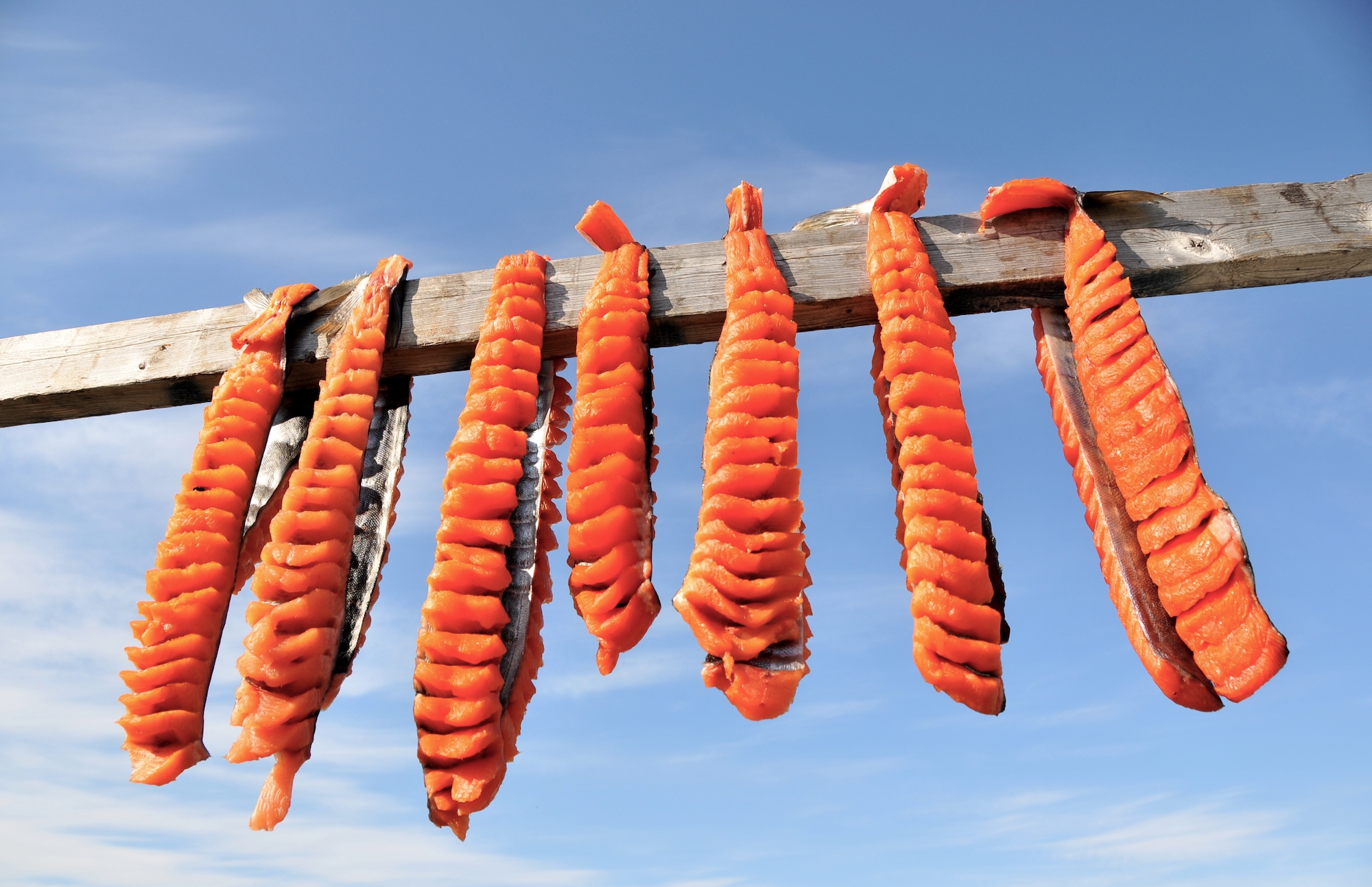 Beautiful Food Indigenous Style Toque Canoe